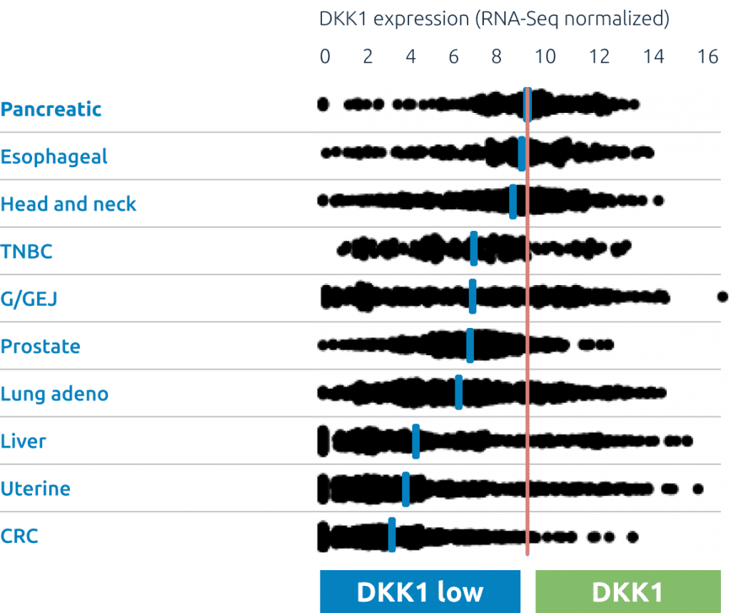 DKK1 - Leap Therapeutics, Inc.