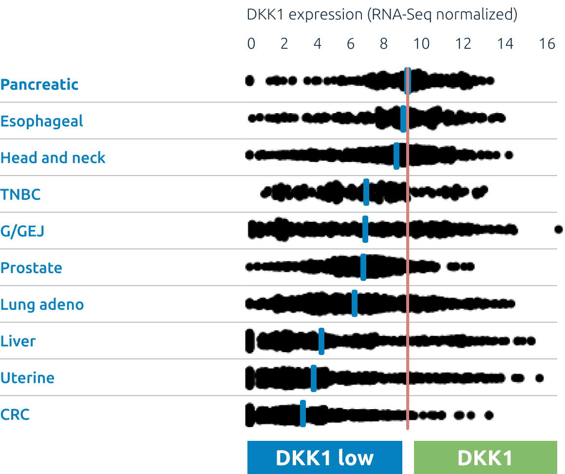 DKK1 - Leap Therapeutics, Inc.
