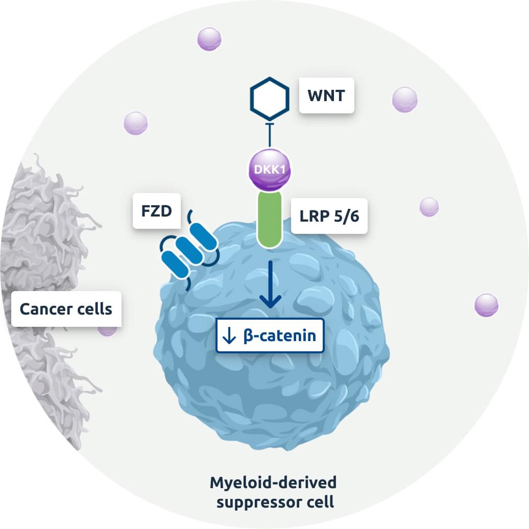 DKK1 - Leap Therapeutics, Inc.